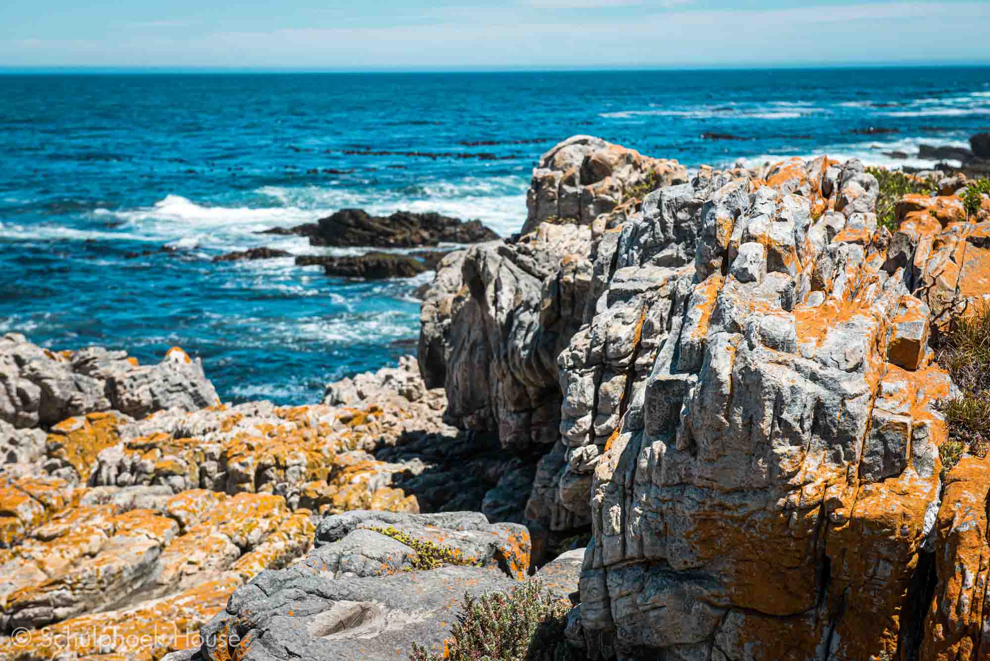 Seasonal Travel Tips: What To Expect In Hermanus Each Season ...